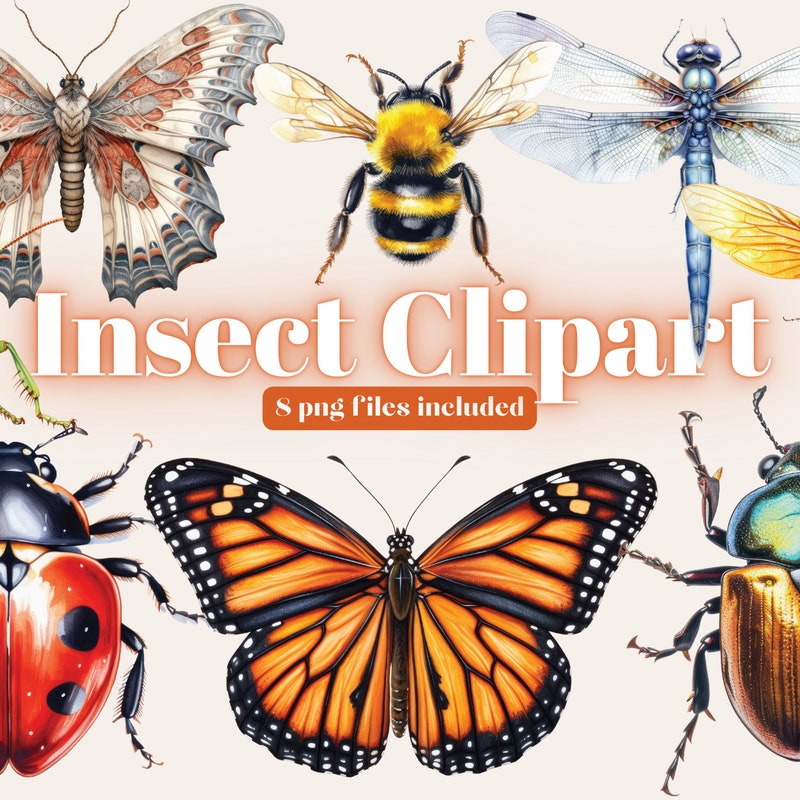 Watercolor Insects - Etsy