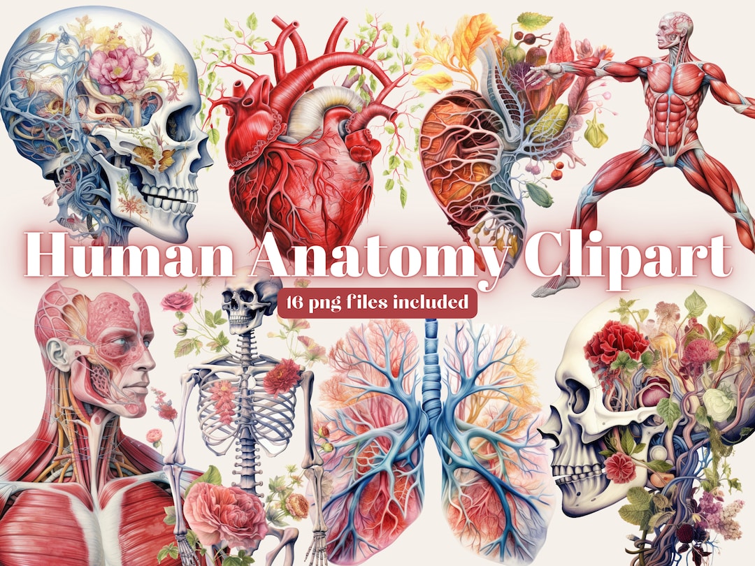 Watercolor Human Anatomy Ephemera Clipart Bundle, Digital Download ...