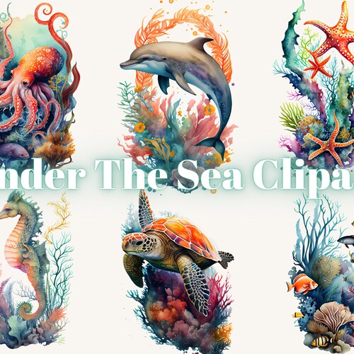 Fish Clipart Watercolor Fish Under the Sea Clip Art Dolphin - Etsy