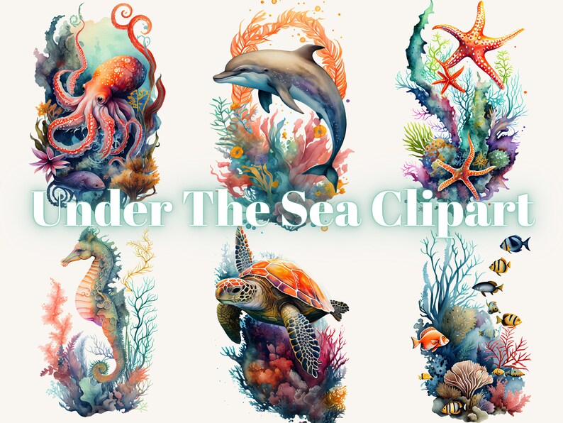 Fish Clipart Watercolor Fish Under the Sea Clip Art Dolphin - Etsy UK