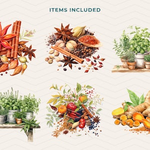 Watercolor Herbs and Spices Clipart Set, Food Clipart, Herb and Spice ...