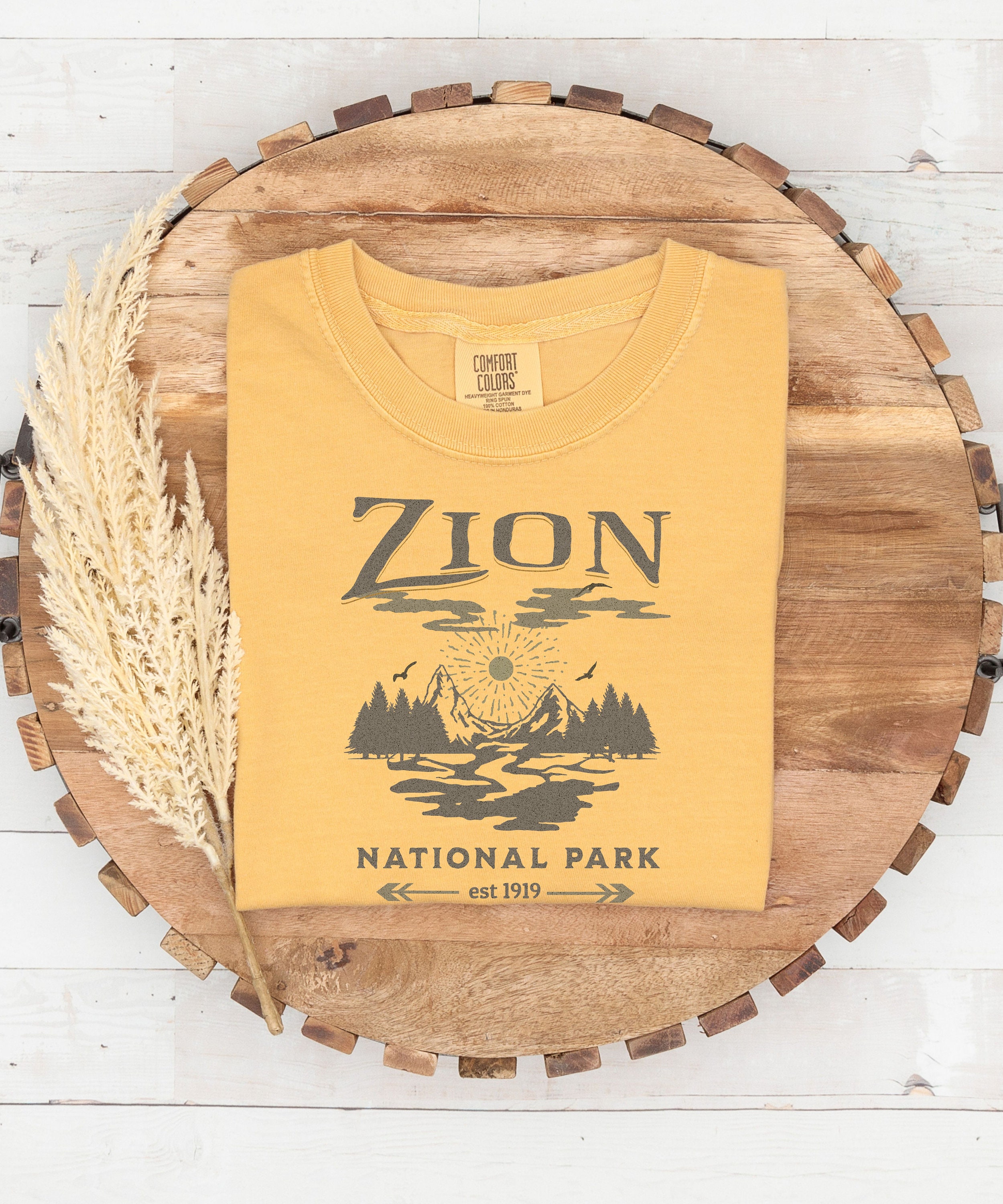 Zion National Park Shirt, National Parks Tshirt, Comfort Colors ...