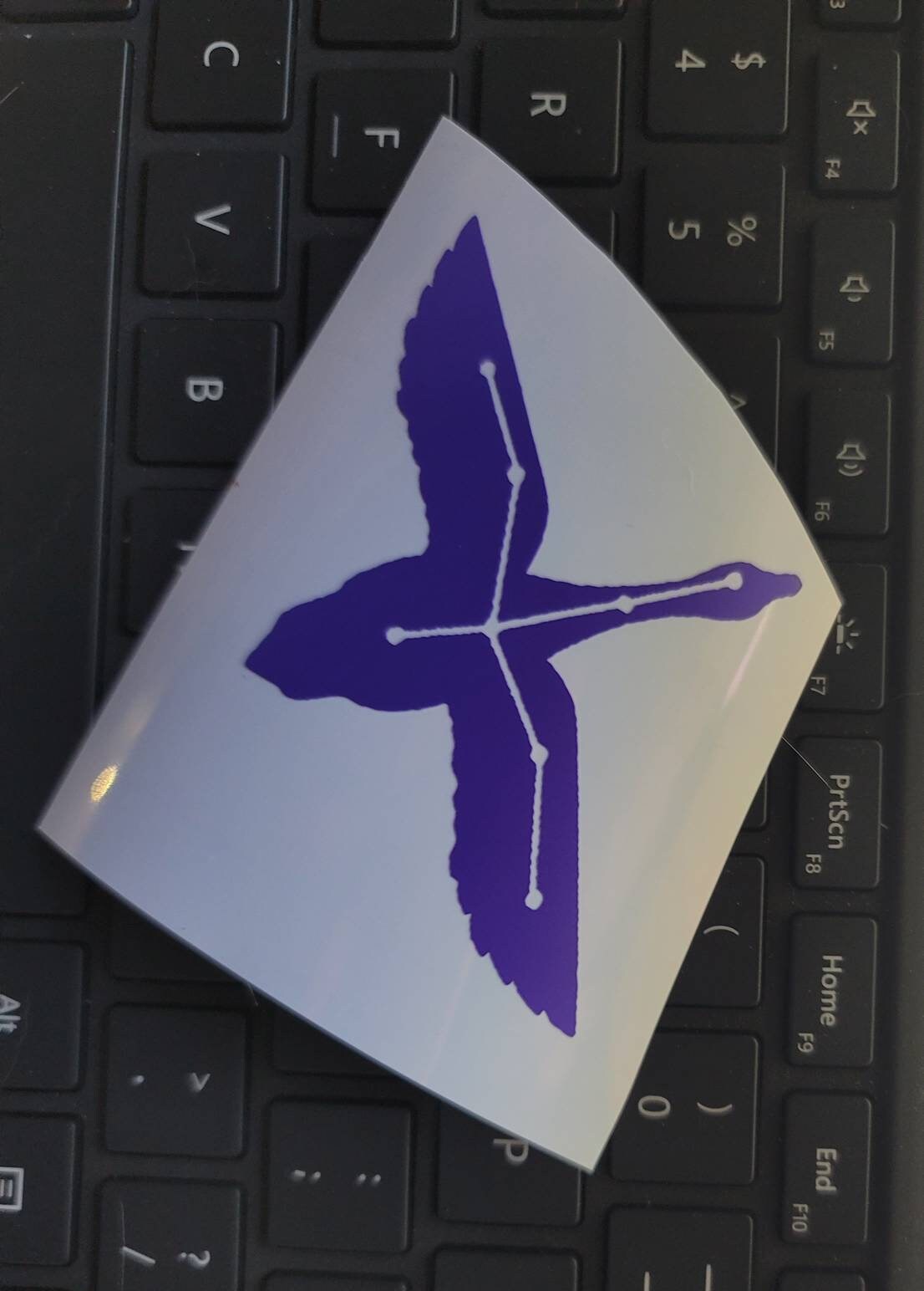 Cygnus Decal (forward Control Designs) - Etsy
