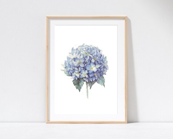 Hamptons Blue Hydrangea Floral Flowers Print Home Decor Wall - Etsy