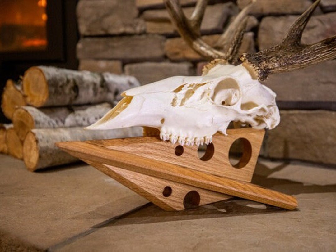 Arrowhead Shaped European Wall and Table Skull Mount - Etsy