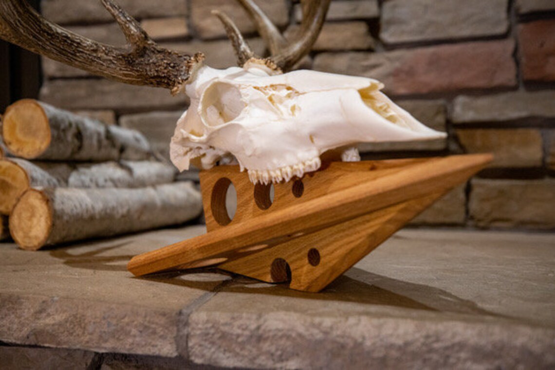 Arrowhead Shaped European Wall and Table Skull Mount - Etsy