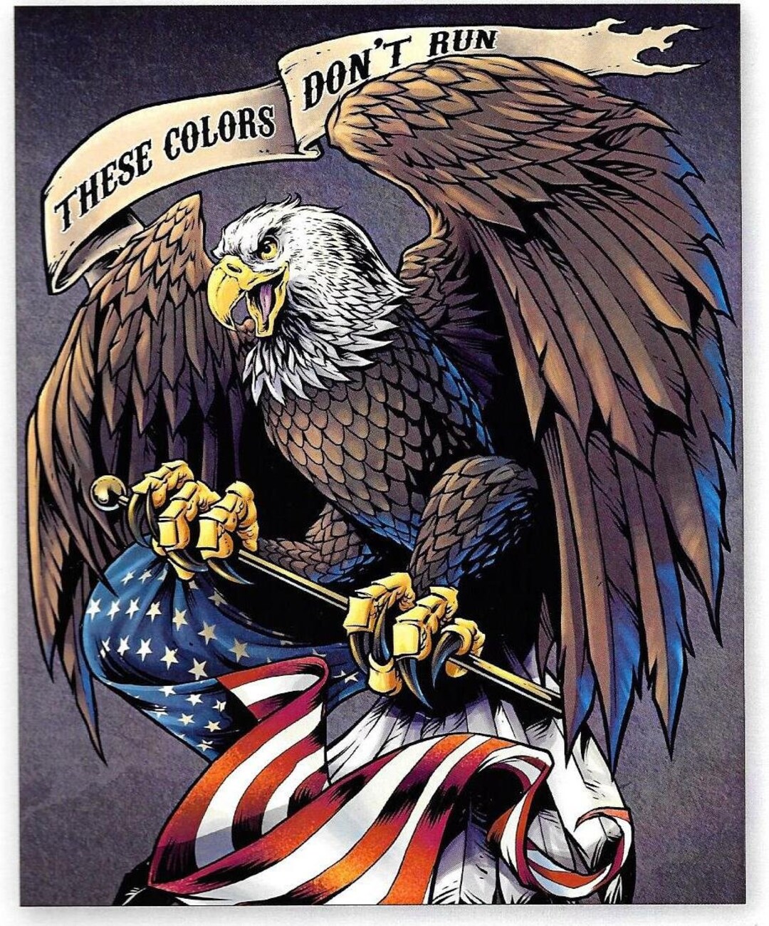 Patriotic Panel: These Colors Don't Run - Etsy