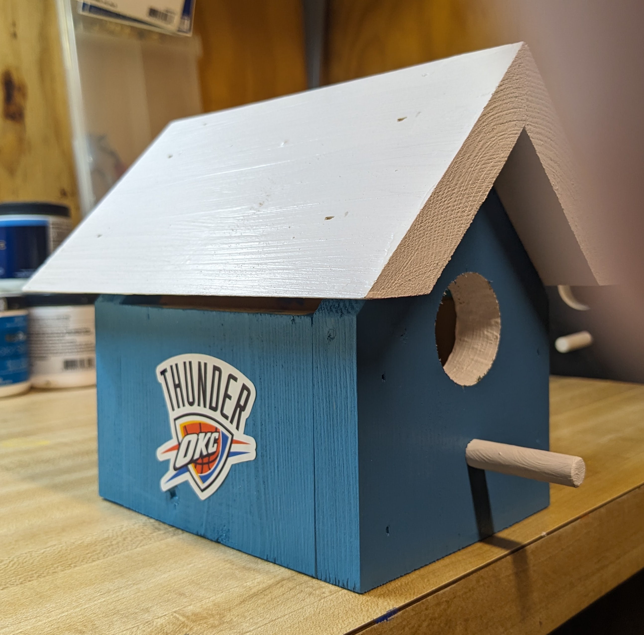 Oklahoma City Thunder Bird House - Etsy