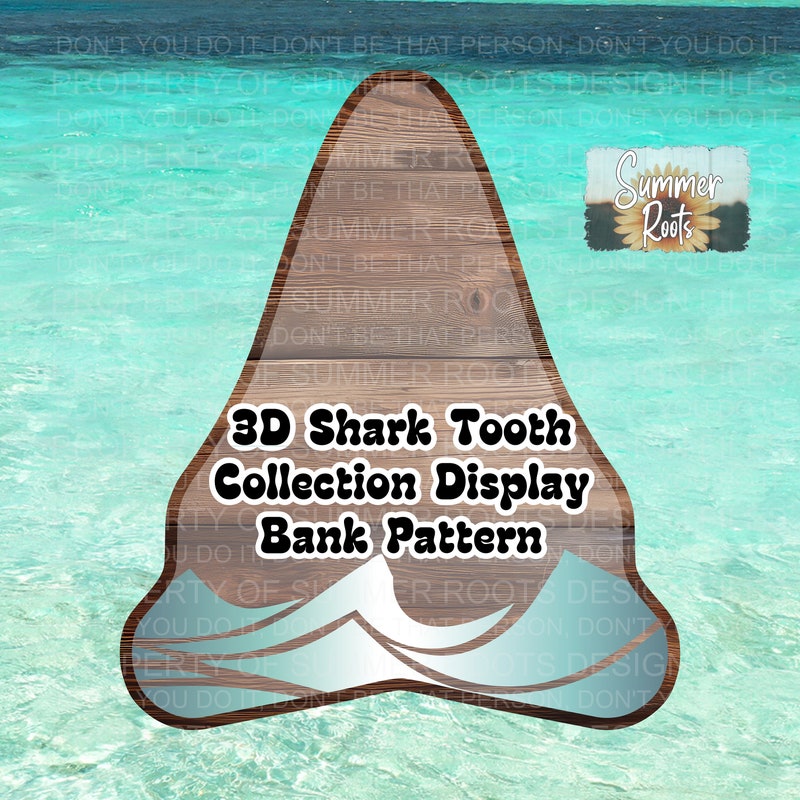 Shark Tooth Display - Etsy