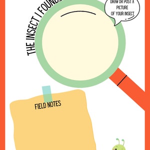 Science Packet Activity Book Insects Printables Kindergarten Digital ...