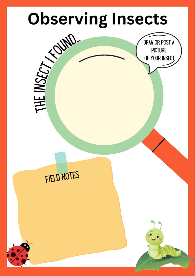 Science Packet Activity Book Insects Printables Kindergarten Digital ...