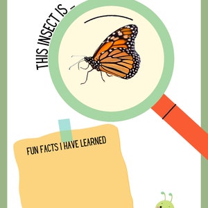 Science Packet Activity Book Insects Printables Kindergarten Digital ...