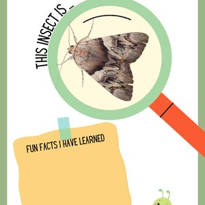 Science Packet Activity Book Insects Printables Kindergarten Digital ...