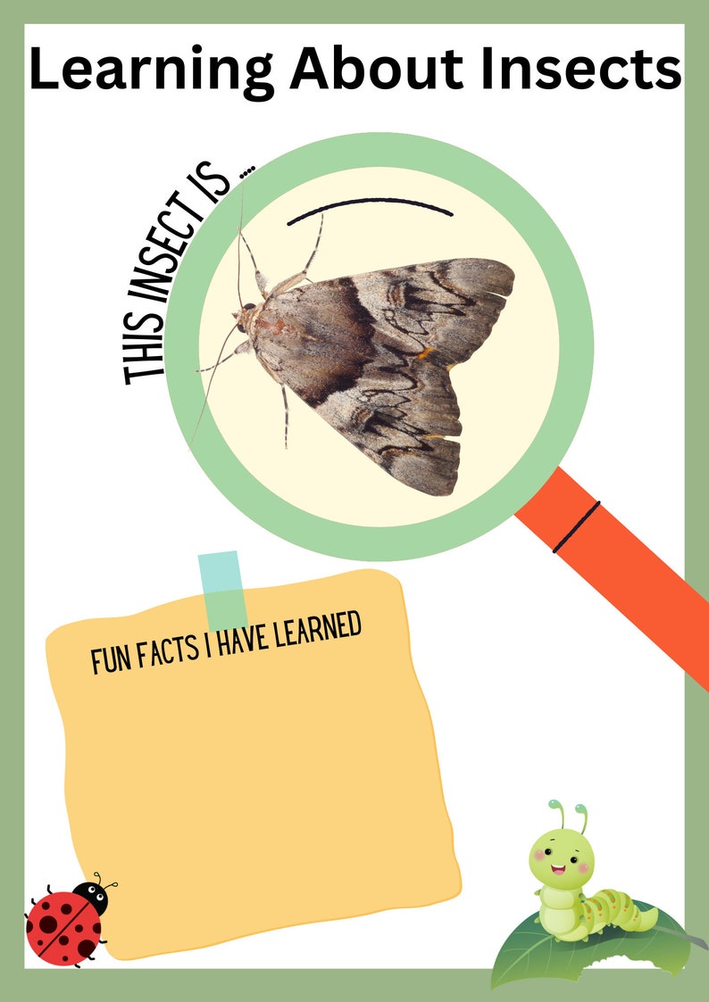 Science Packet Activity Book Insects Printables Kindergarten Digital ...