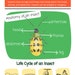 Science Packet Activity Book Insects Printables Kindergarten Digital ...