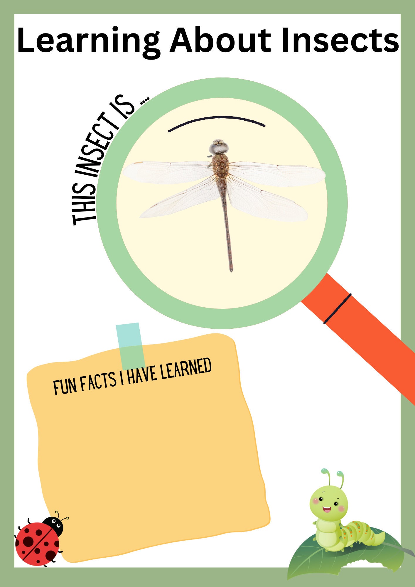 Science Packet Activity Book Insects Printables Kindergarten Digital ...