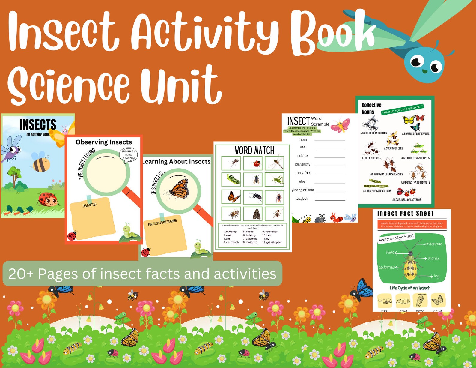 Science Packet Activity Book Insects Printables Kindergarten Digital ...