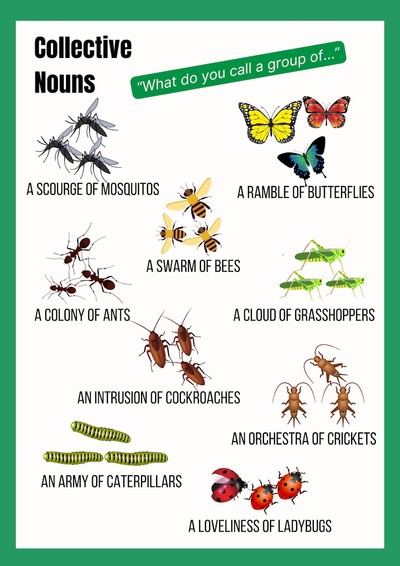 Science Packet Activity Book Insects Printables Kindergarten Digital ...
