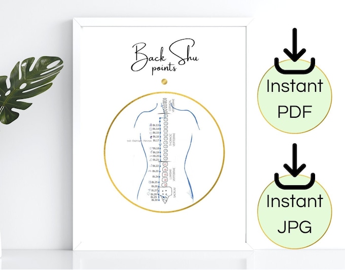 12 Major Acupuncture Meridians Chart, PDF Printable, Chinese Medicine ...