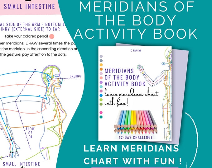 12 Major Acupuncture Meridians Chart, PDF Printable, Chinese Medicine ...