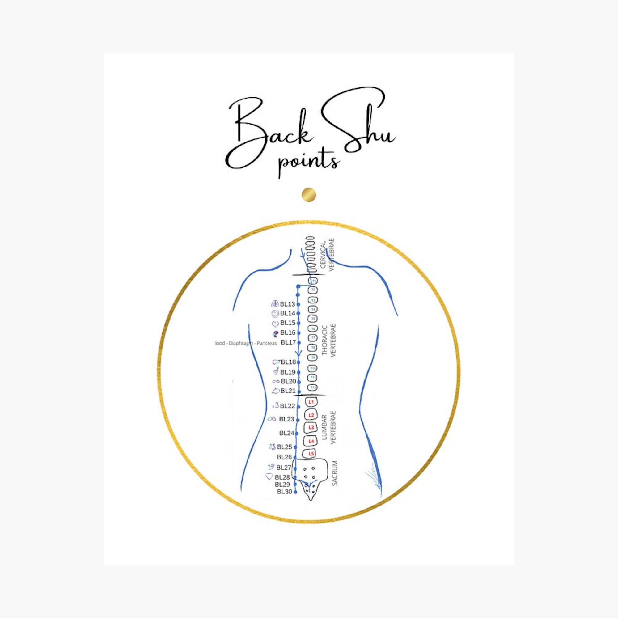 Acupuncture Back Shu Points Poster, 8x10, 11x14, Instant Download ...