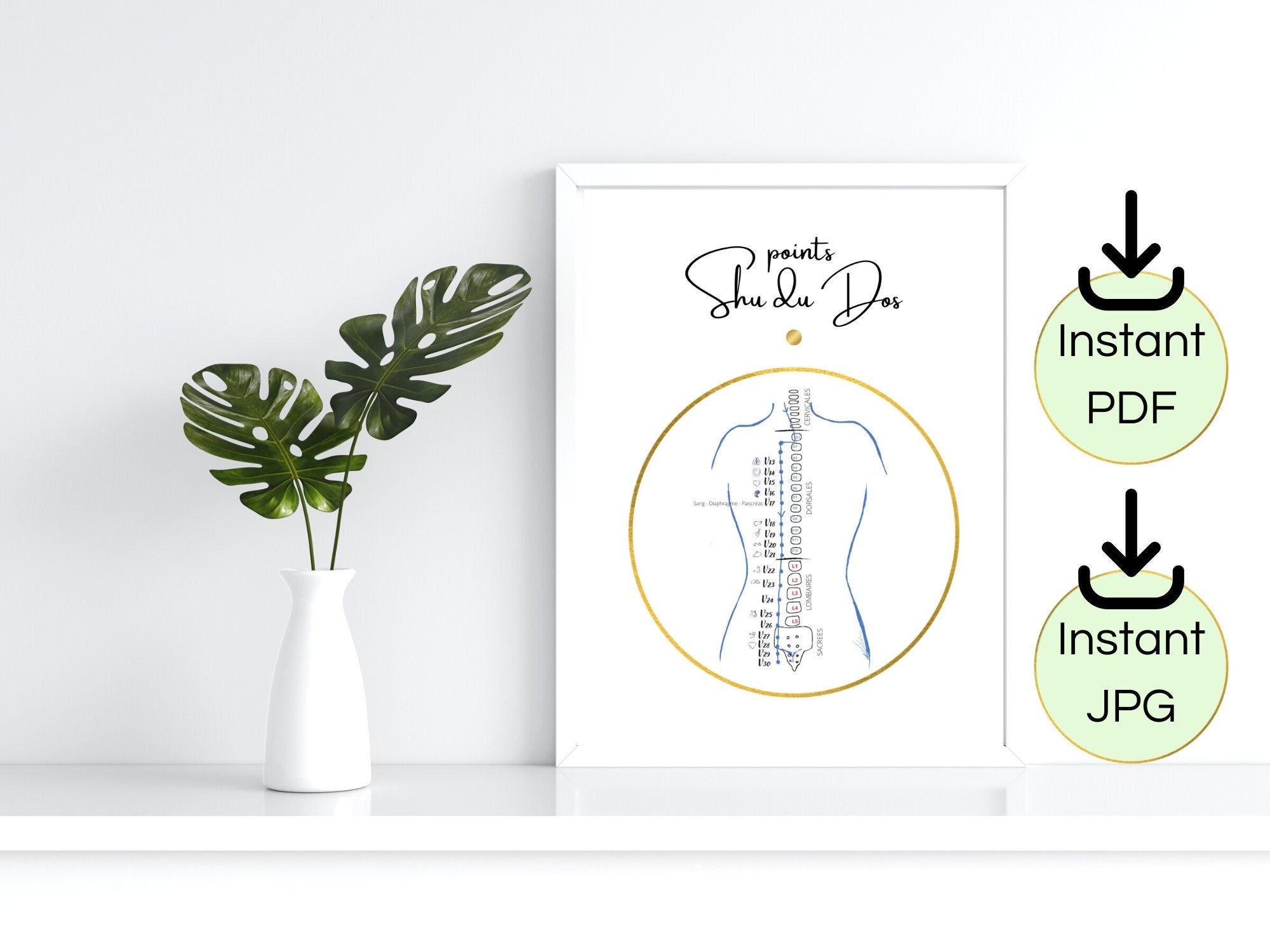 Back SHU Poster, Bladder Meridian, Acupuncture Poster, Printable Poster ...