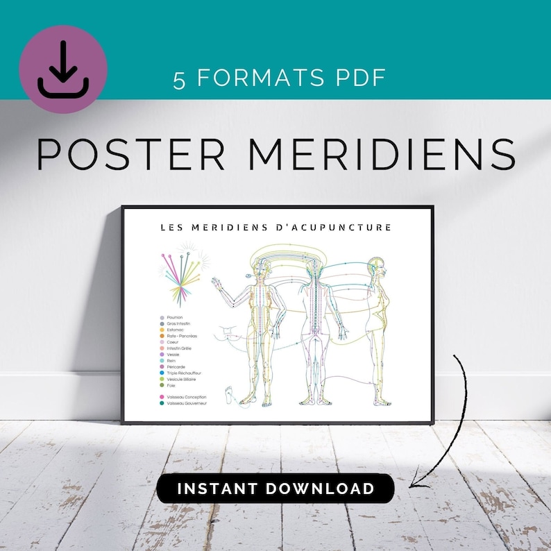 Meridians Acupuncture Points Poster, Chinese Medicine Meridians Board ...