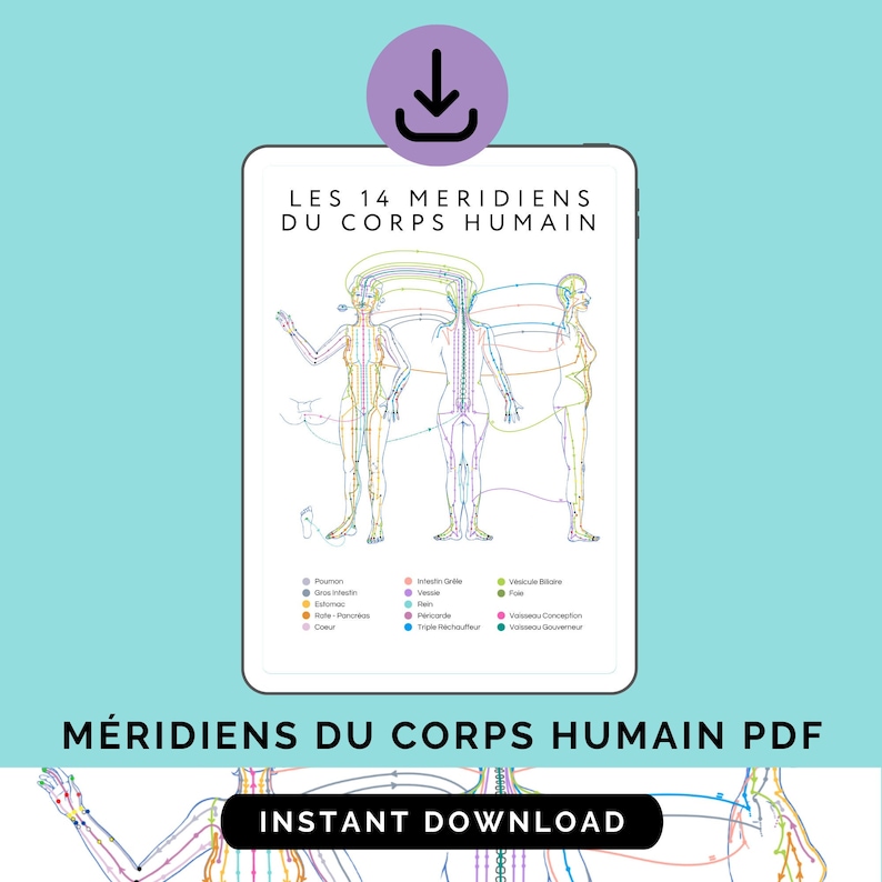 Chinese Meridians Poster, Human Body Meridians, PDF, Chinese Medicine ...