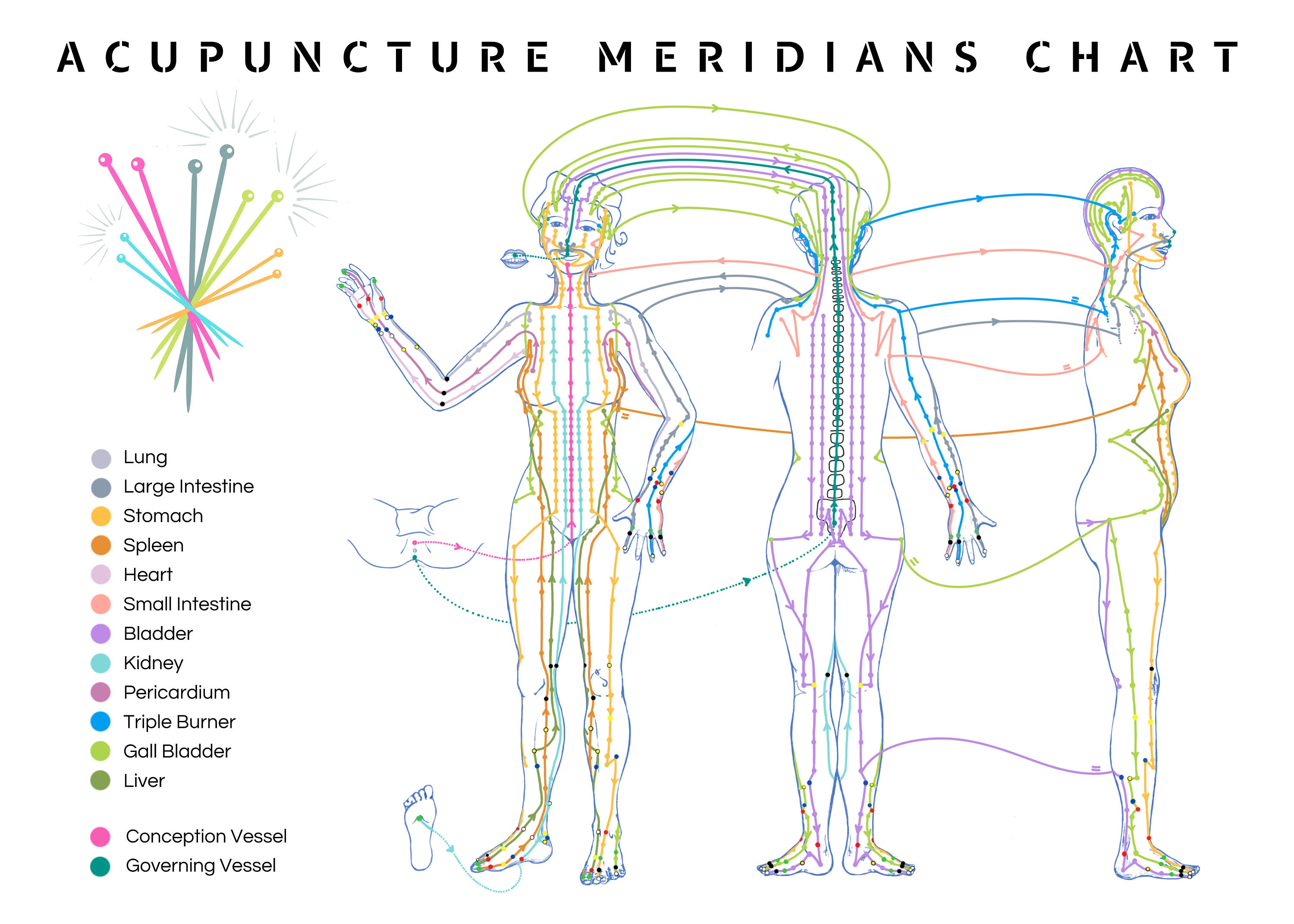 Poster Acupuncture Meridians Chart, ENGLISH Version, Wall Art, Chinese ...