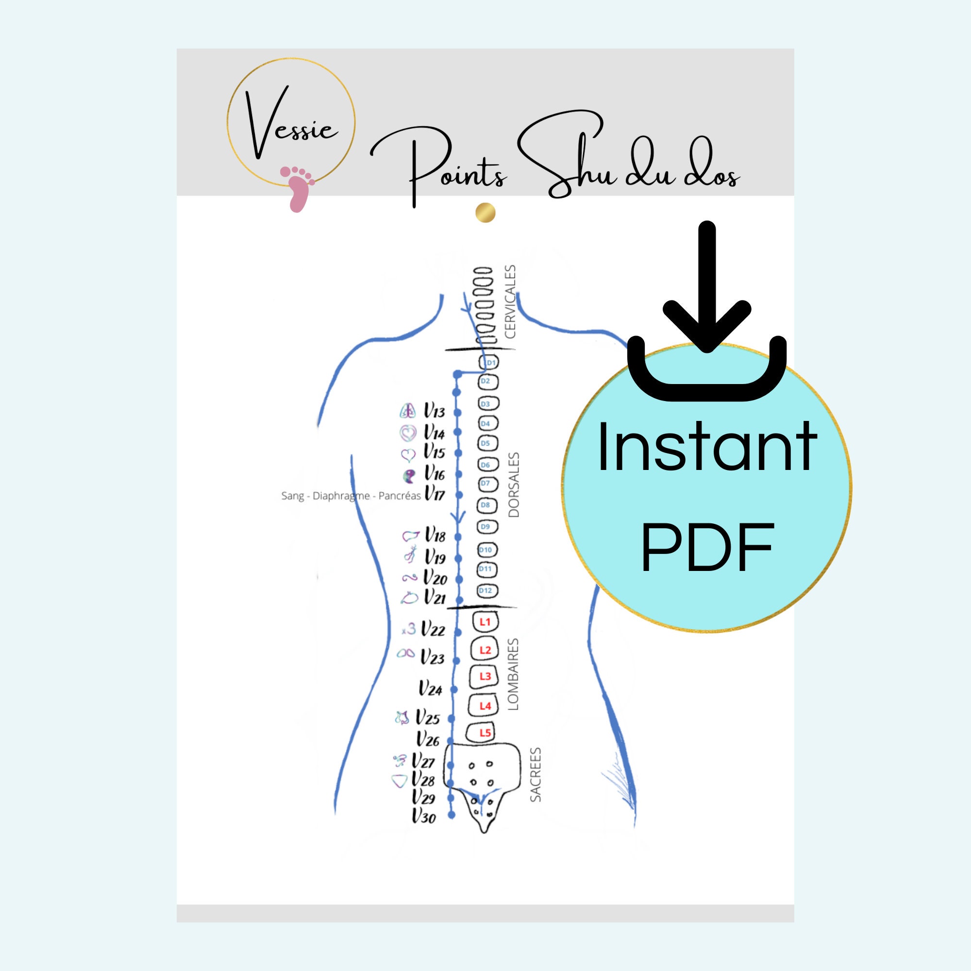 Back SHU Points Poster, Bladder Meridian, Printable Poster, Printable ...