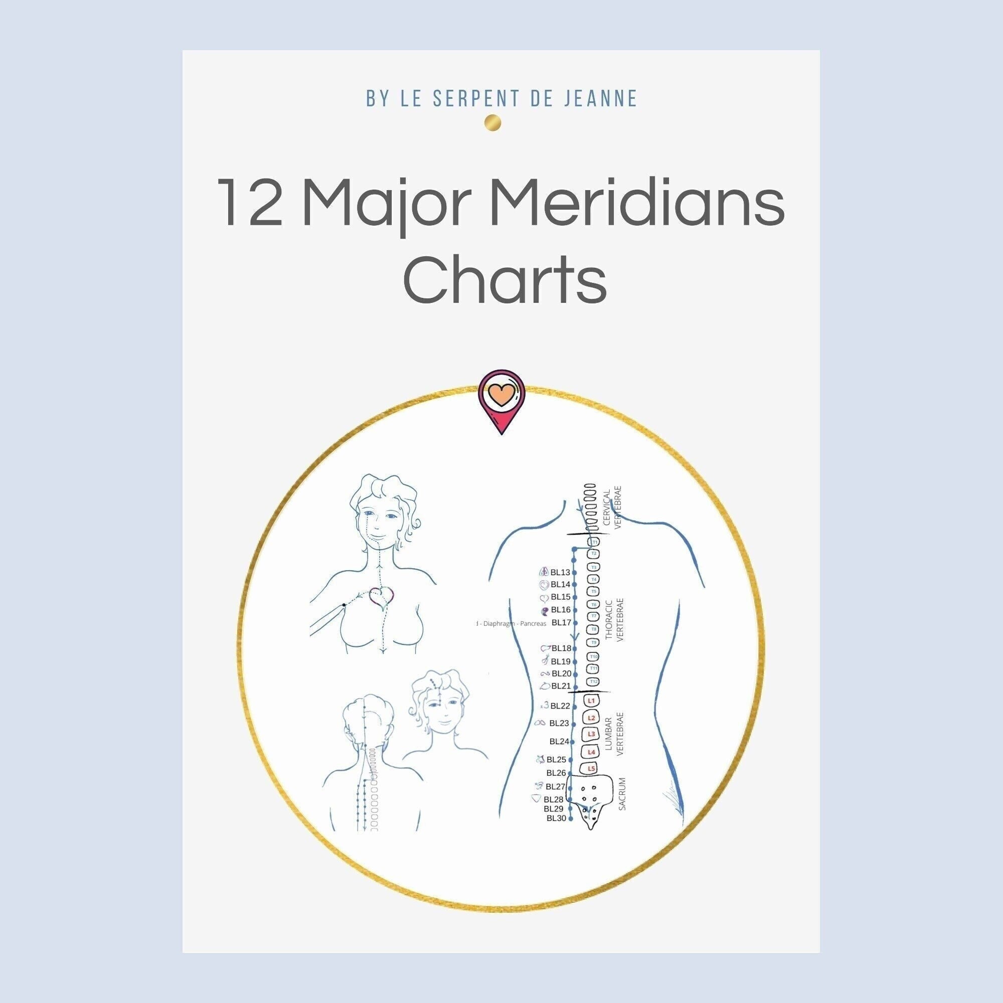 12 Major Acupuncture Meridians Chart, PDF Printable, Chinese Medicine ...