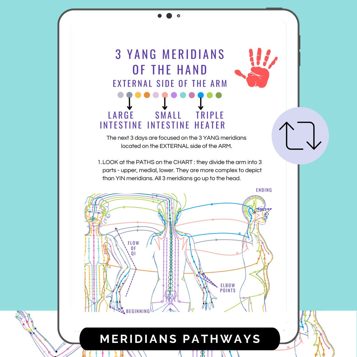 Meridians of the Body Activity Book: Learn Meridians Chart With Fun! 12 ...