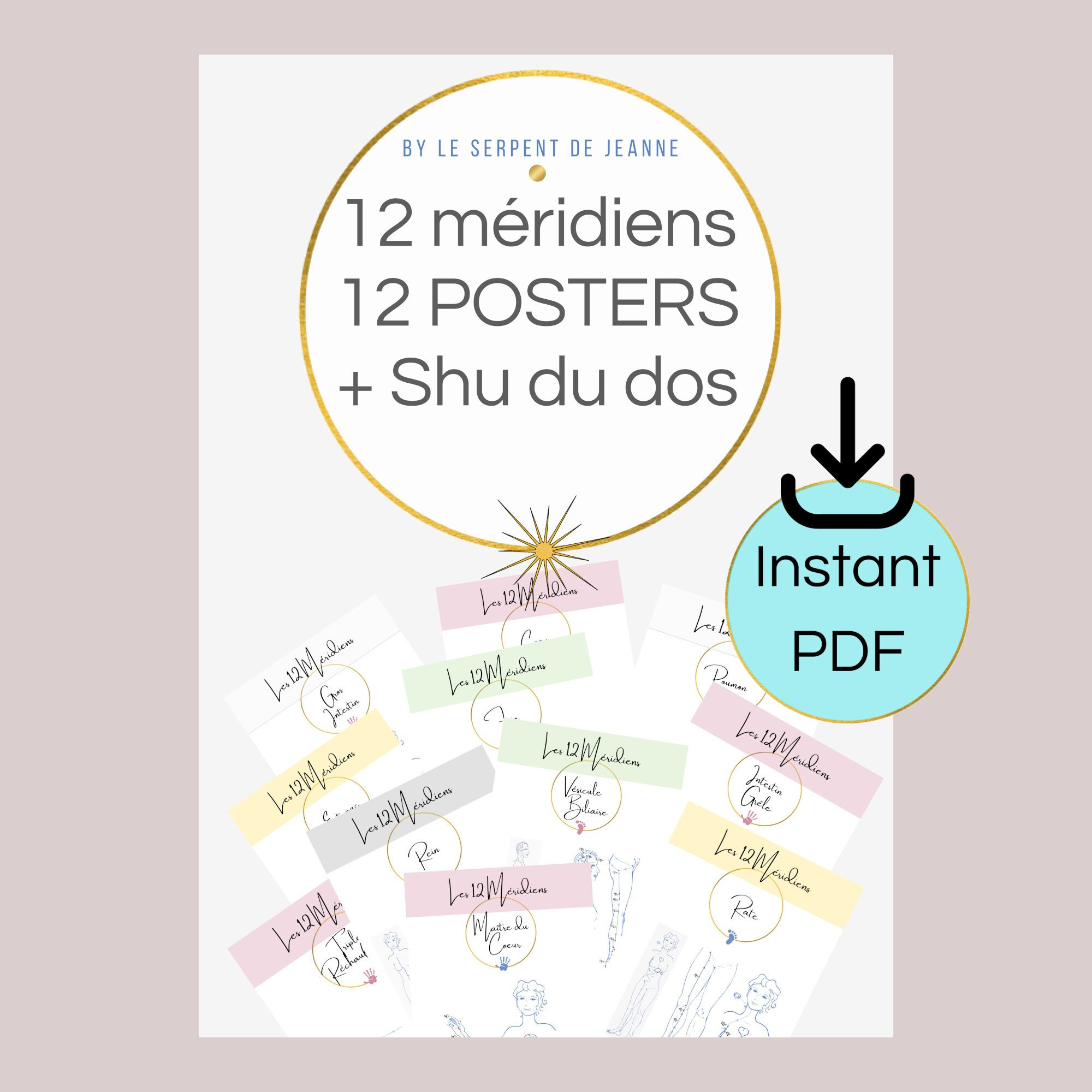 Acupuncture Poster 12 Meridians, PDF PACK 15 Pages, Printable Poster ...