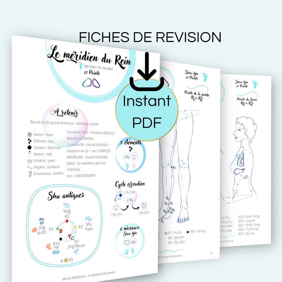 PDF Kidney Meridian Fact Sheet, Revision Sheet, Chinese Medicine Course ...
