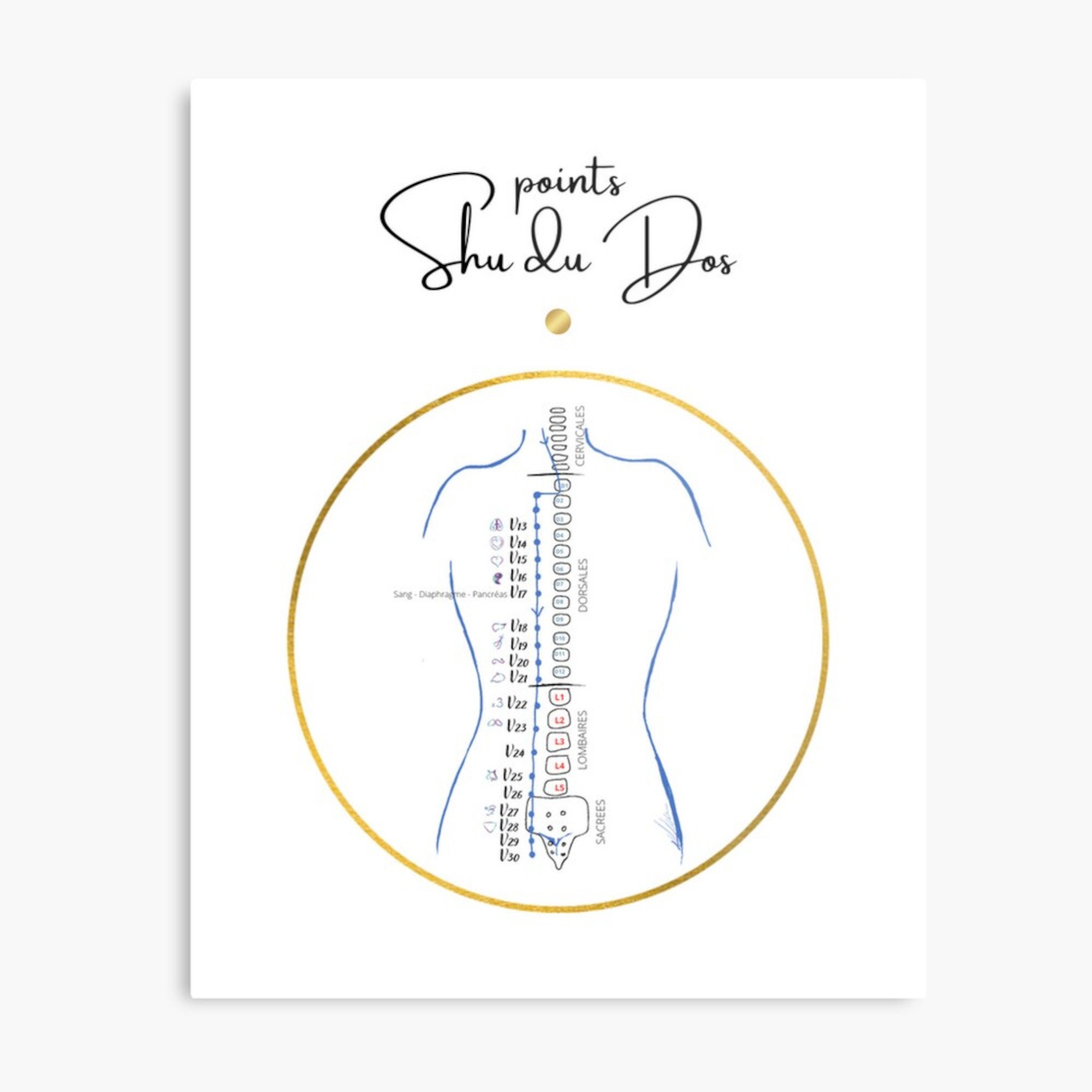 Back SHU Poster, Bladder Meridian, Acupuncture Poster, Printable Poster ...