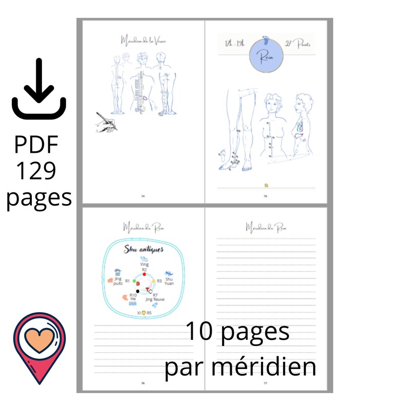 Acupuncture Student Notebook PDF, Chinese Medicine Worksheets, Beginner ...