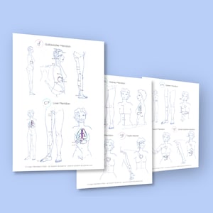12 Major Acupuncture Meridians Chart, PDF Printable, Chinese Medicine ...