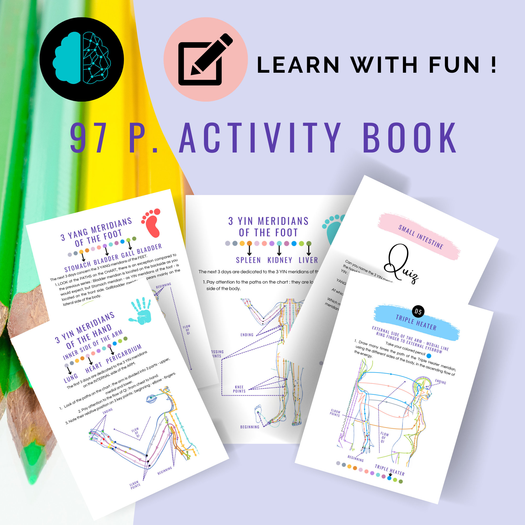 Meridians of the Body Activity Book: Learn Meridians Chart With Fun! 12 ...