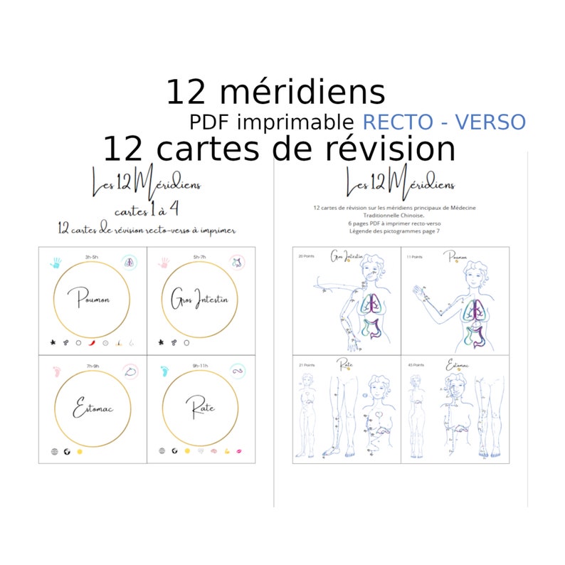 Printable PDF 12 Meridian Review Cards, Printable Cards, Chinese ...