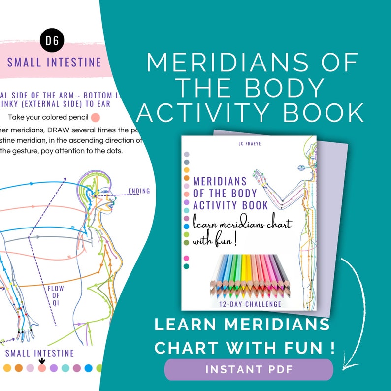 Meridians of the Body Activity Book: Learn Meridians Chart With Fun! 12 ...
