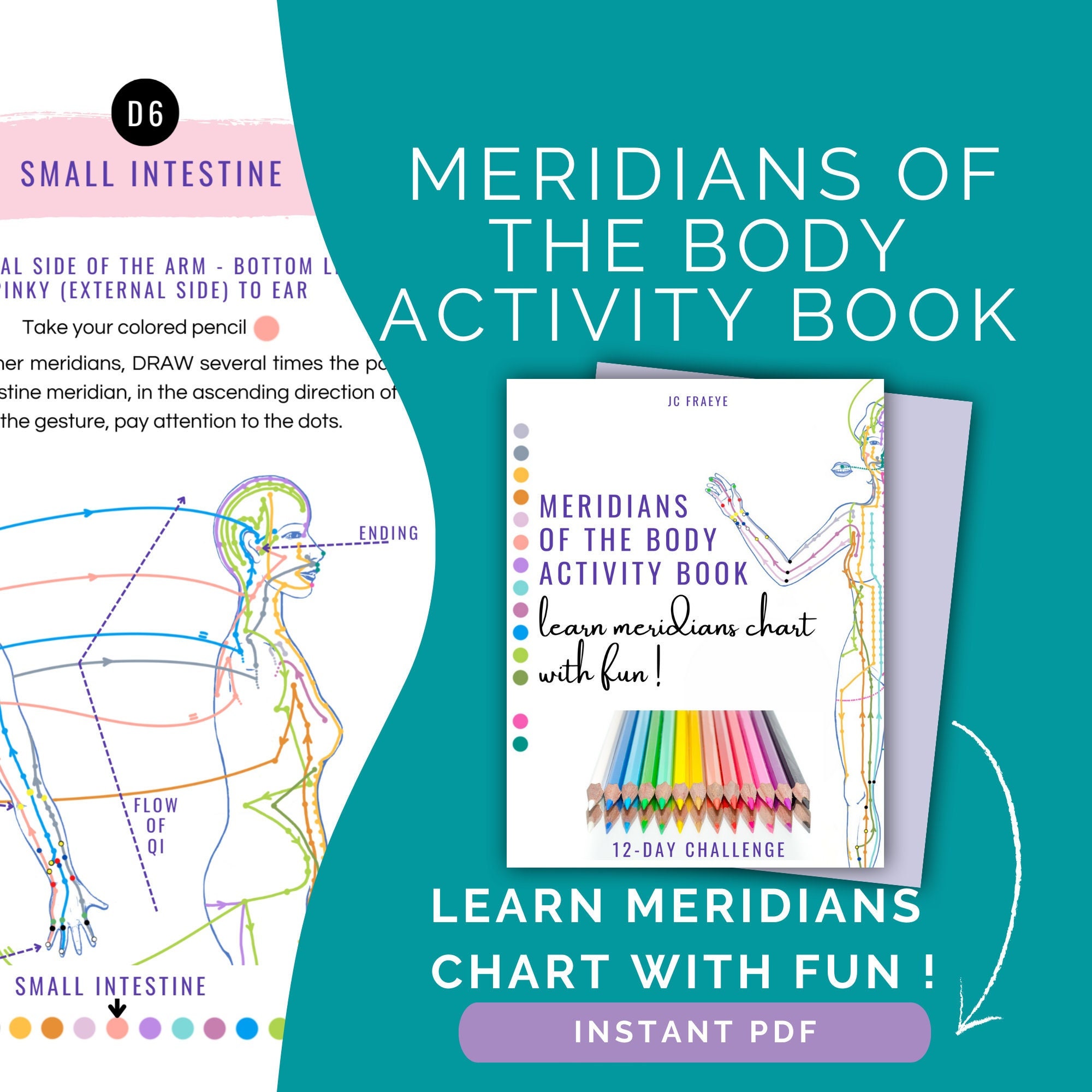 Meridians of the Body Activity Book: Learn Meridians Chart With Fun! 12 ...