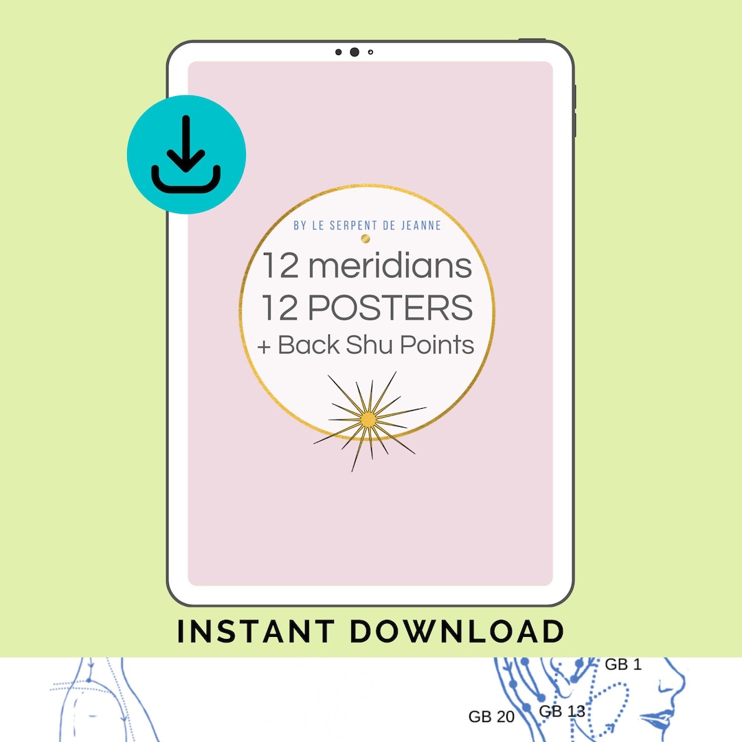 Acupuncture Poster 12 Meridians, ENGLISH Version, PDF PACK 14 Pages ...