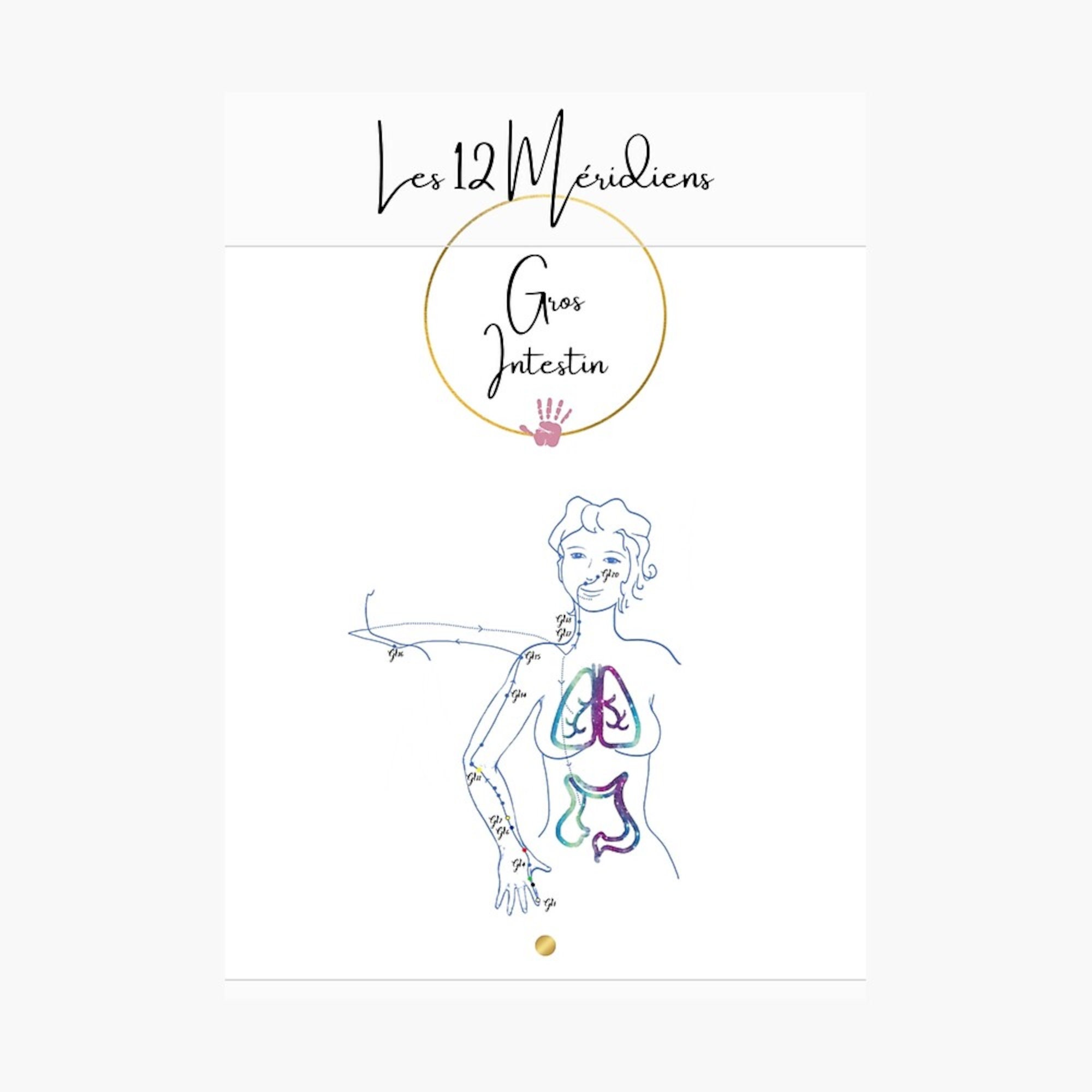 Acupuncture Poster 12 Meridians, PDF PACK 15 Pages, Poster to Print ...