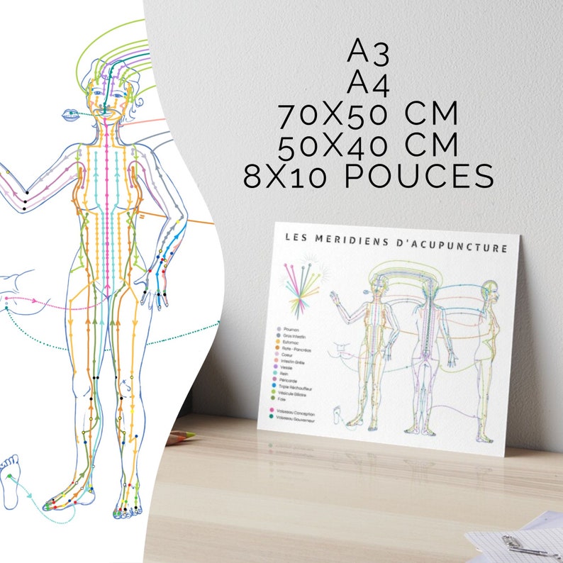 Poster Meridians Points of Acupuncture Board Meridians of - Etsy