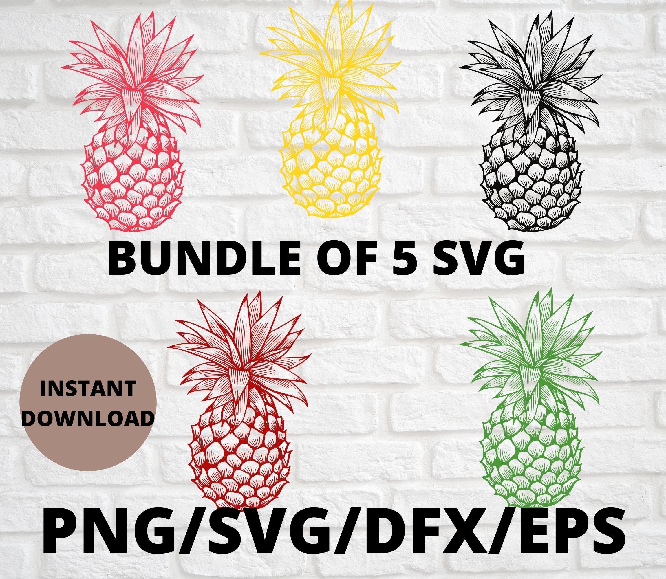 Pineapple SVG| Pineapple Svg Bundle |pineapple Clipart for Cricut ...