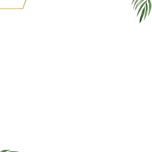 Palm Tree Stationery Set of Five Beach Greeting Cards With - Etsy