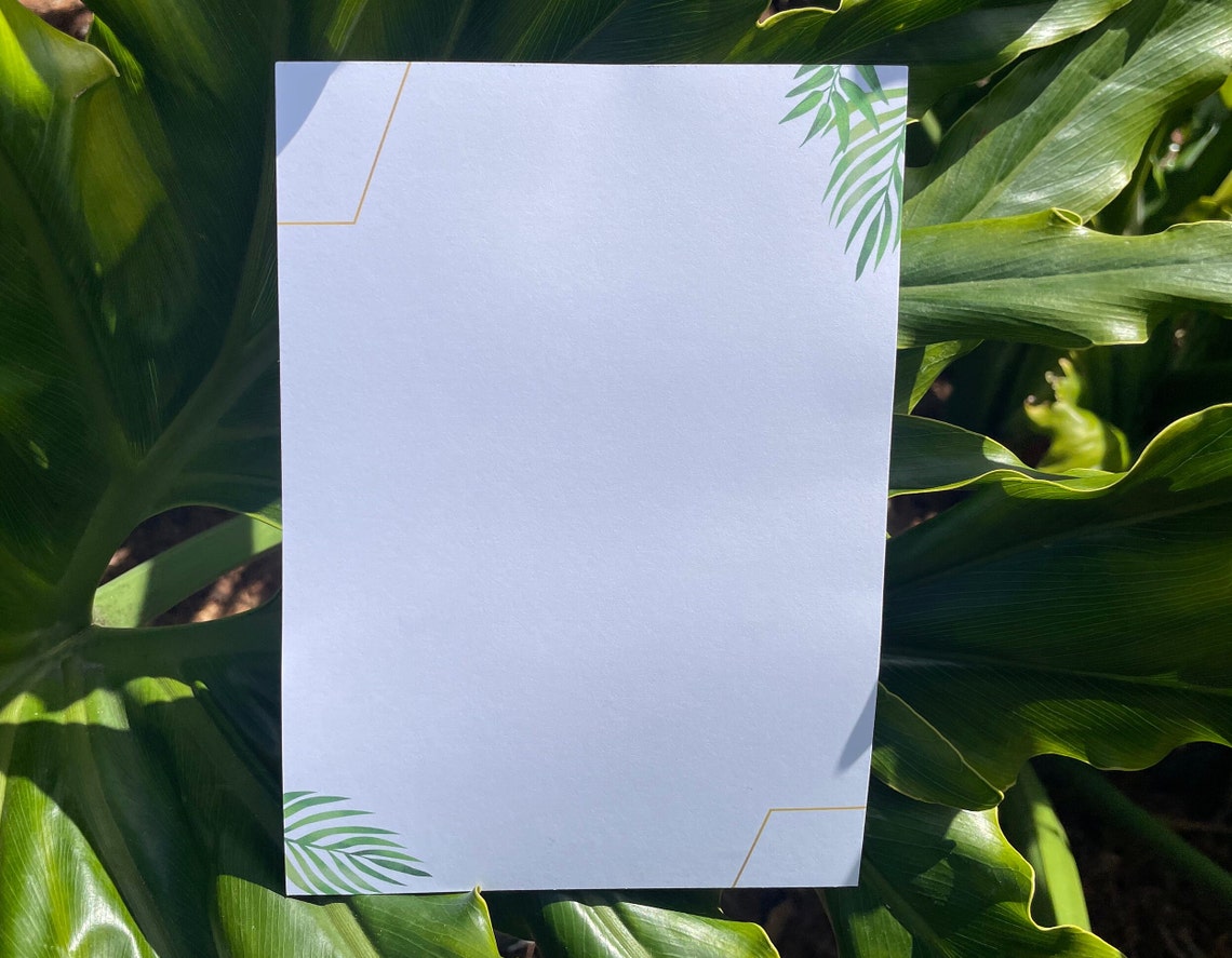 Palm Tree Stationery Set of Five Beach Greeting Cards With - Etsy