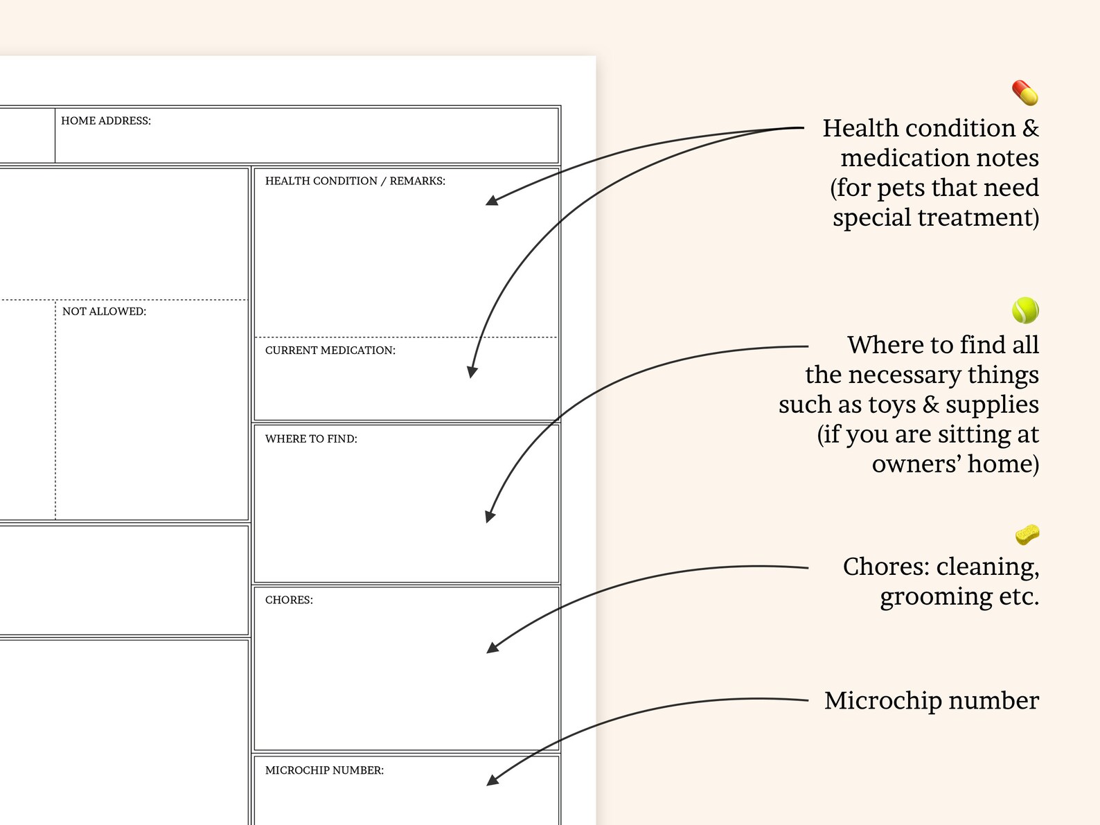 All-in-one Pet Care Notes / Pet Sitter Manual | Instant Download | PDF ...