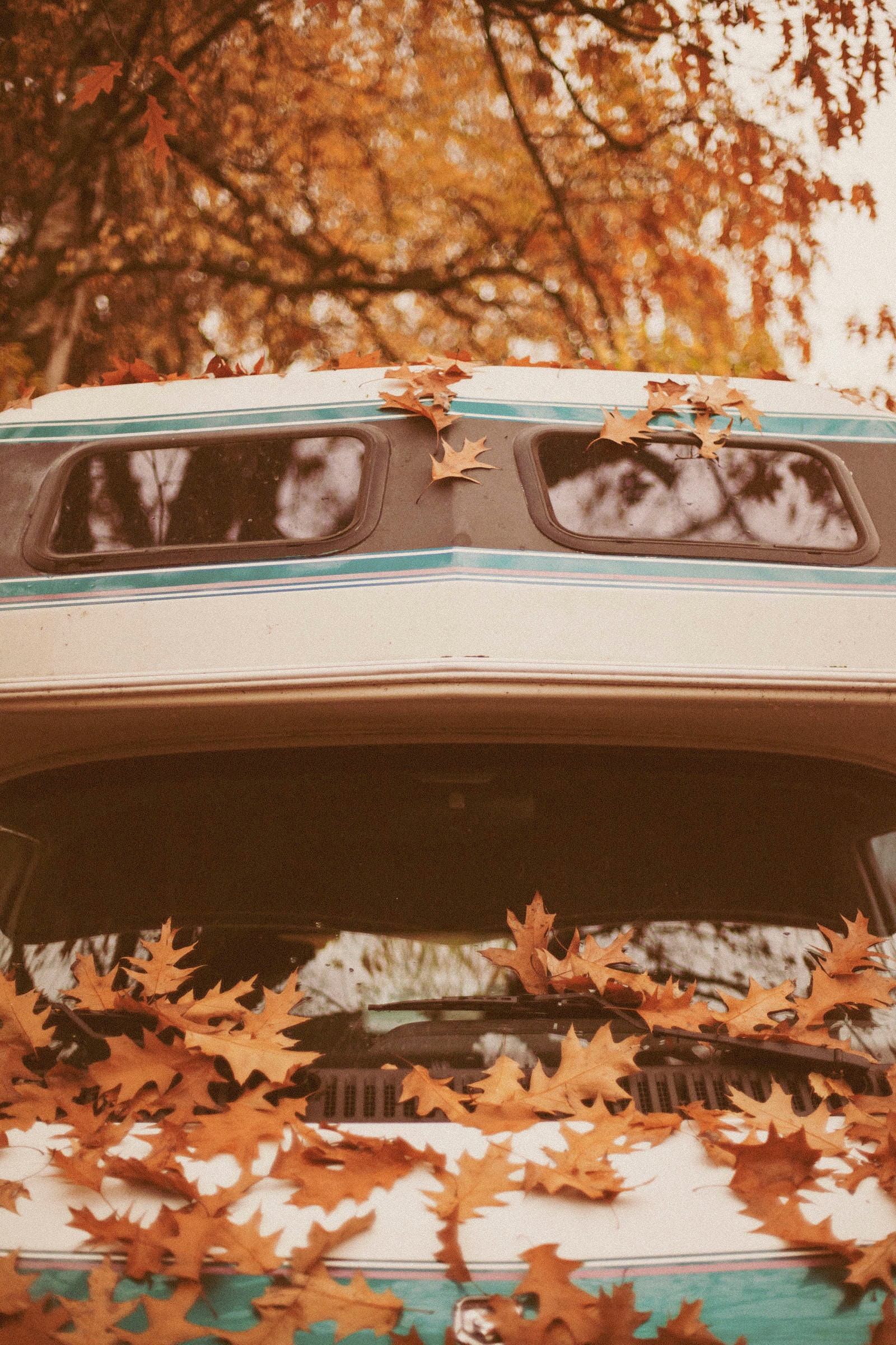 Photo Wall Collage Kit Fall Cozy Spooky set of 50 Images 1 Bonus ...