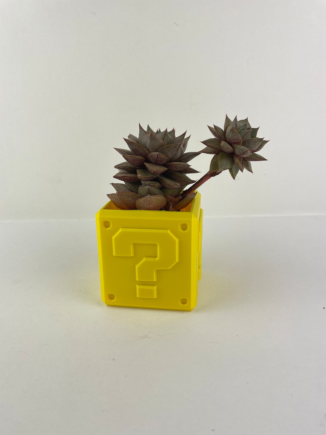 Super Mario Bros Question Block Planter Flowerpot Super Mario Plant ...